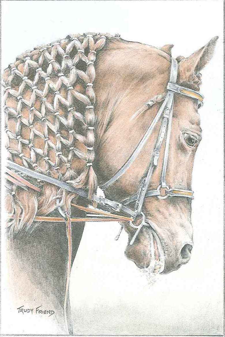 St Cuthberts Mill // Saunders Waterford Postcard Competition