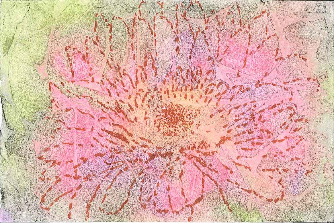 St Cuthberts Mill // Saunders Waterford Postcard Competition